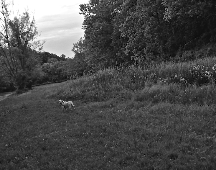 Innocent Creature – Broken Light Collective