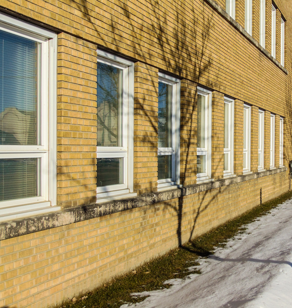 Inner City Tree – Broken Light Collective